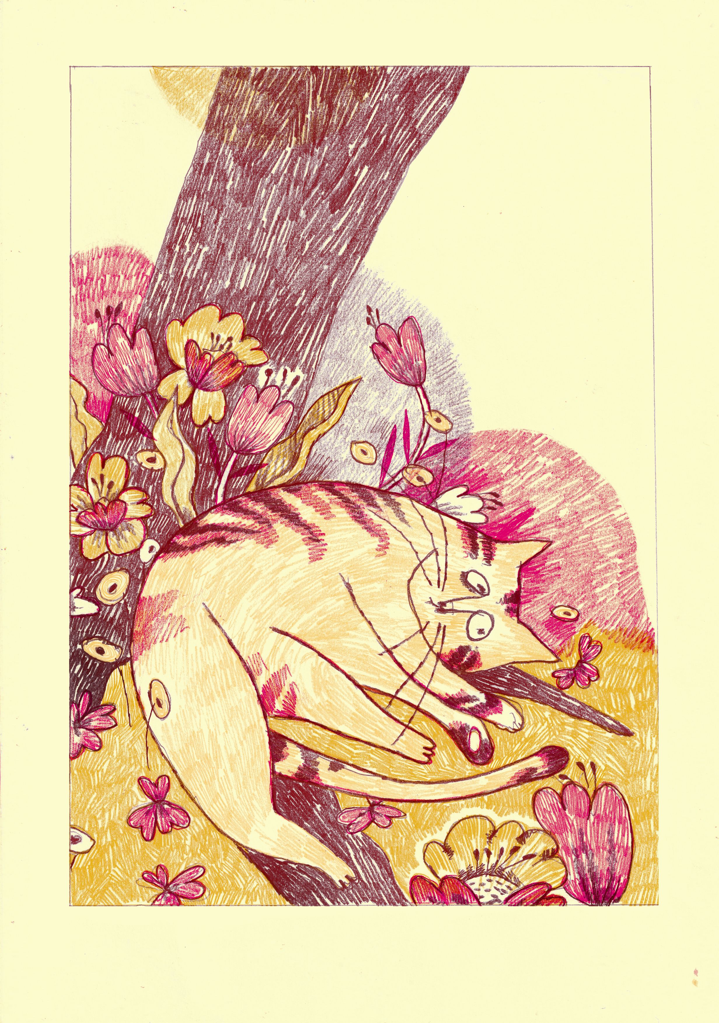 Projet final | Domestika